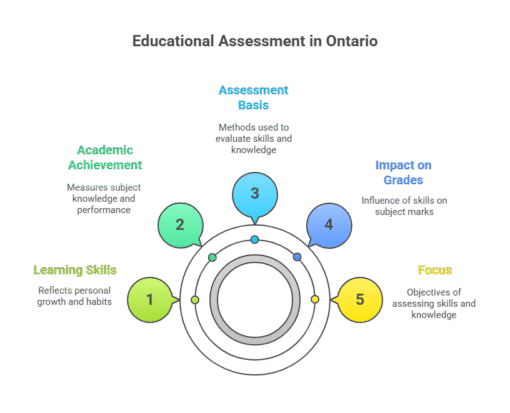 Learning Skills Ontario Report Card: Key Skills & Parent Tips