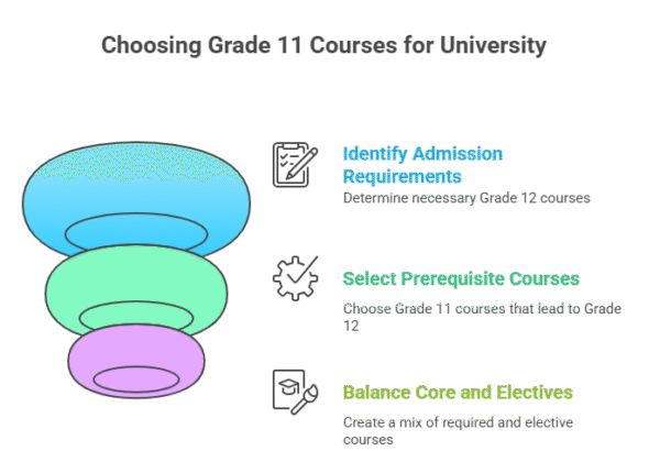 Best Grade 11 Course In Ontario (Easy + High Marks Guide)
