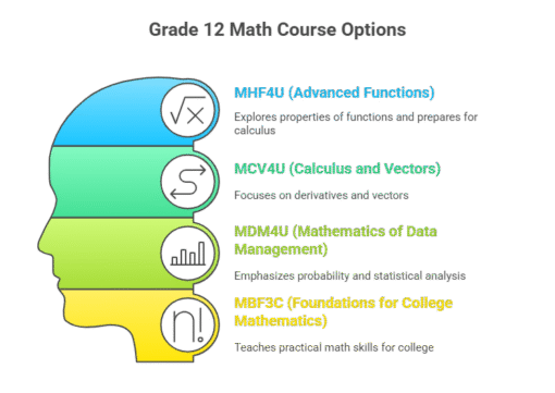 Grade 12 Math (Ontario): Curriculum, Study Plan & Exam Tips